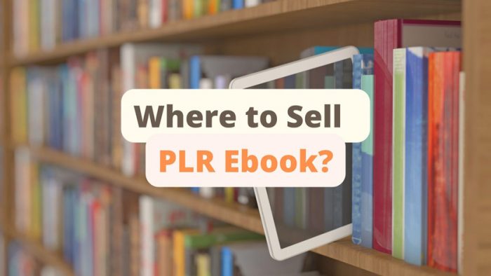 Where to Sell PLR eBooks? - TheWebJourney