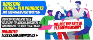 IDPLR Review - Still The Best PLR Site?